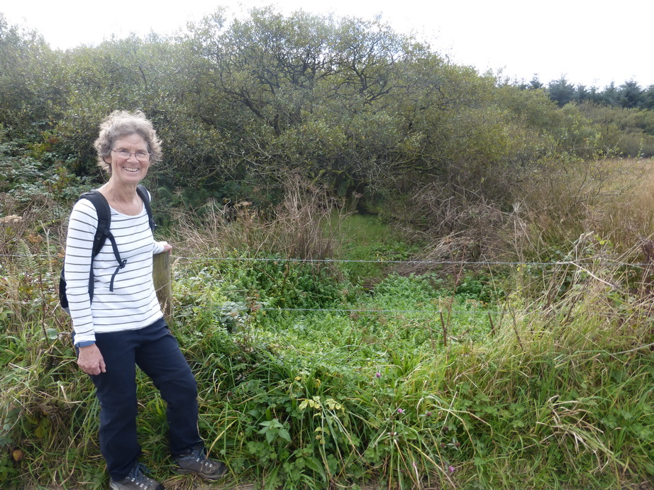 Gooseham Mill to Moreton Pound | A Cornish Journey