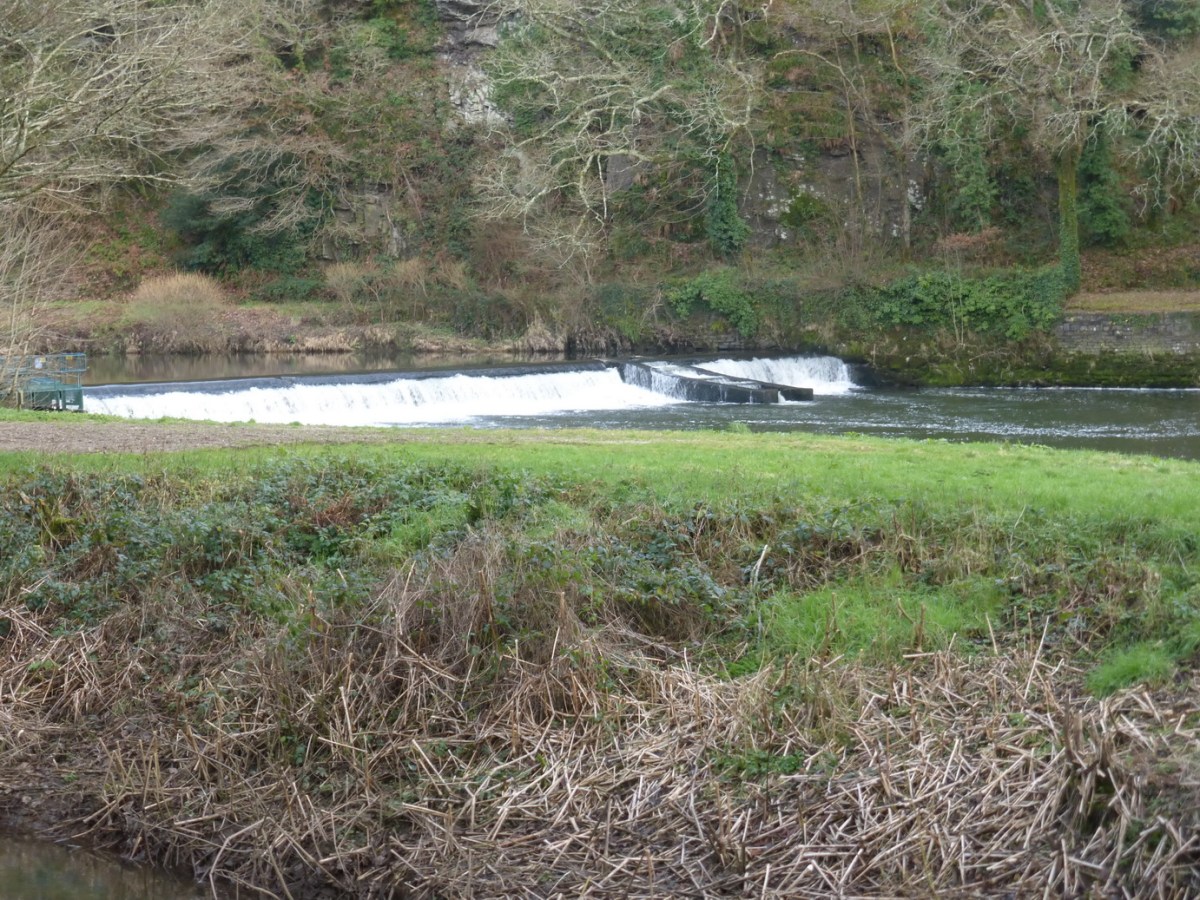 Around Gunnislake | A Cornish Journey