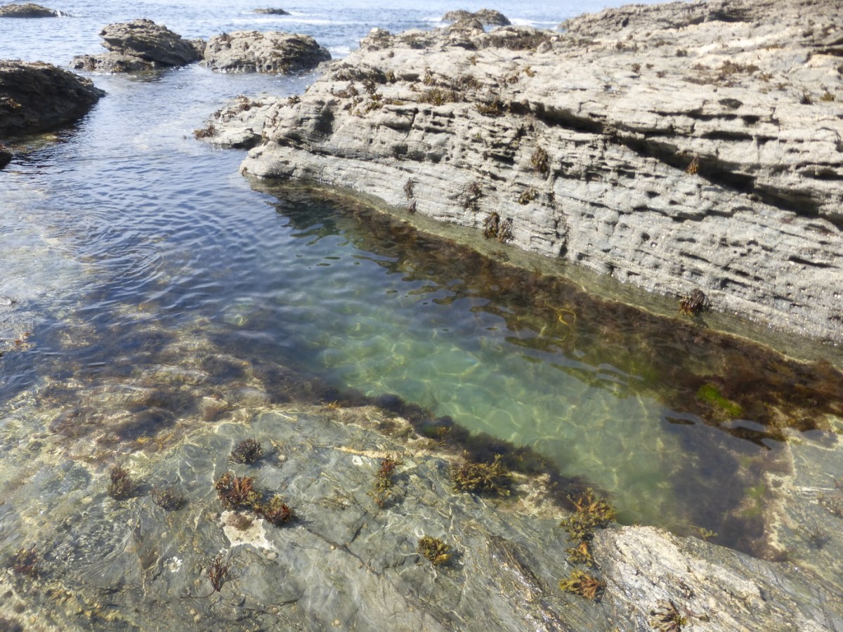 Another Stackhouse bath? | A Cornish Journey